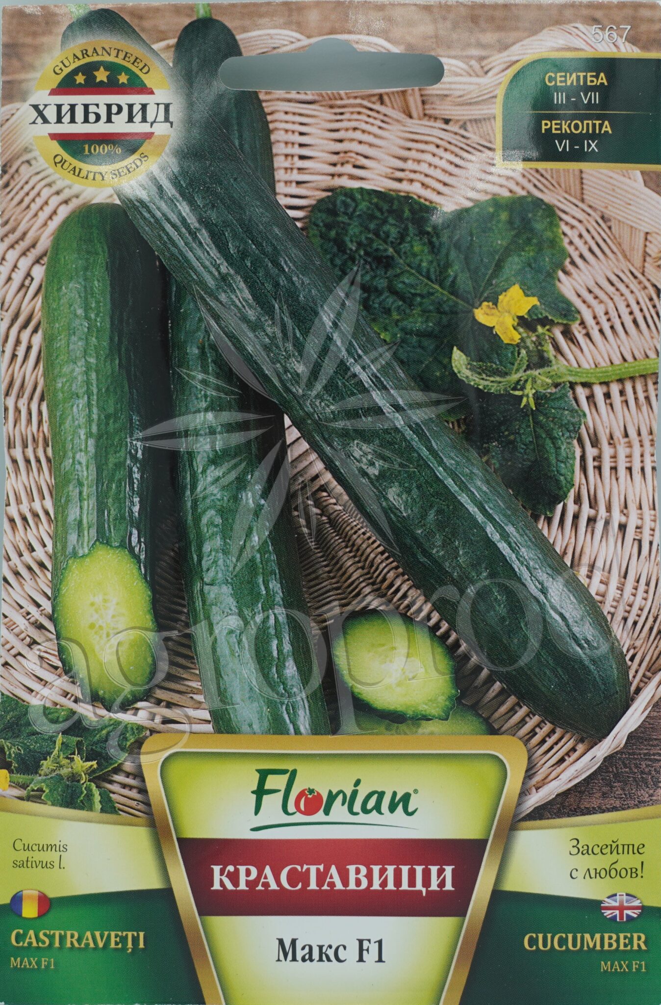 Seminte castraveti Max F1 0.5g 576 Florian - Pret Avantajos - Agroprod