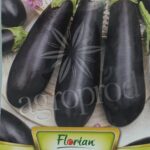 Seminte vinete Classic F1 40 sem Florian - Agroprod