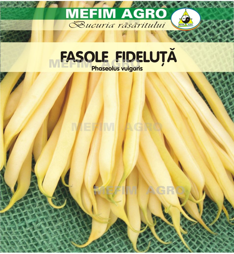 Seminte fasole fideluta galbena Bergold 200 g - Pret Avantajos - Agroprod